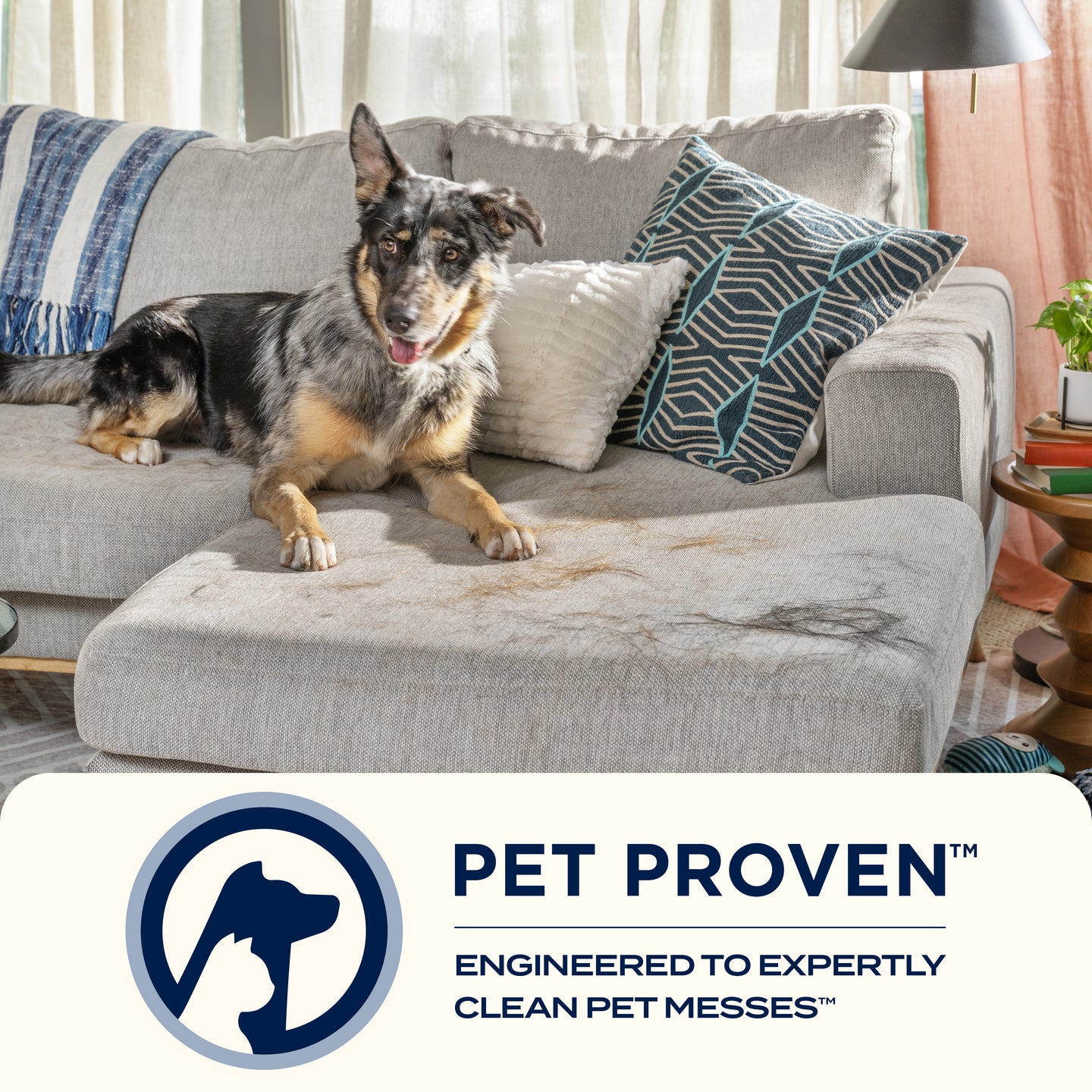 Pet Hair Eraser Slim | 2907F | BISSELL – BISSELL Australia